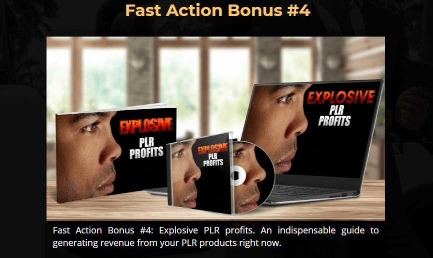 2020 Executive Collection PLR Review: This make you stand out!