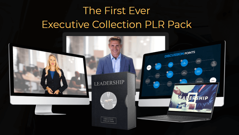 2020 Executive Collection PLR Review: This make you stand out!