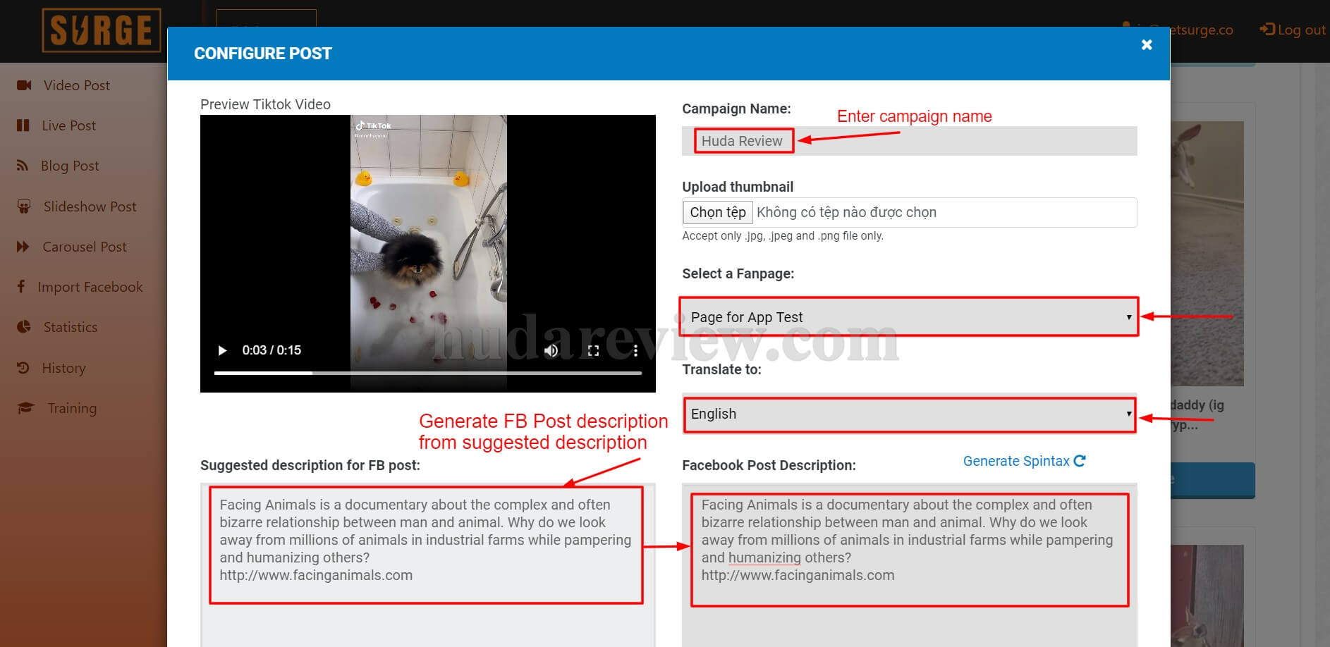 Surge Review- Check Out This Exceptional Tiktok Traffic Software