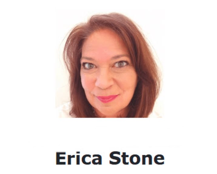 Mini Channel Formula review: Course created by Ms. Erica Stone