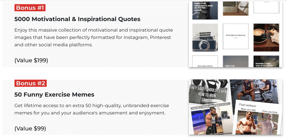 [PLR] 365 Viral Exercise Videos Review: Is it worth buying?