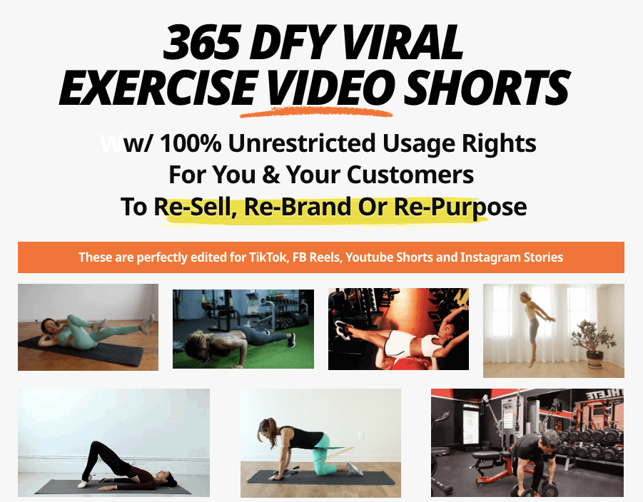 [PLR] 365 Viral Exercise Videos Review: Is it worth buying?