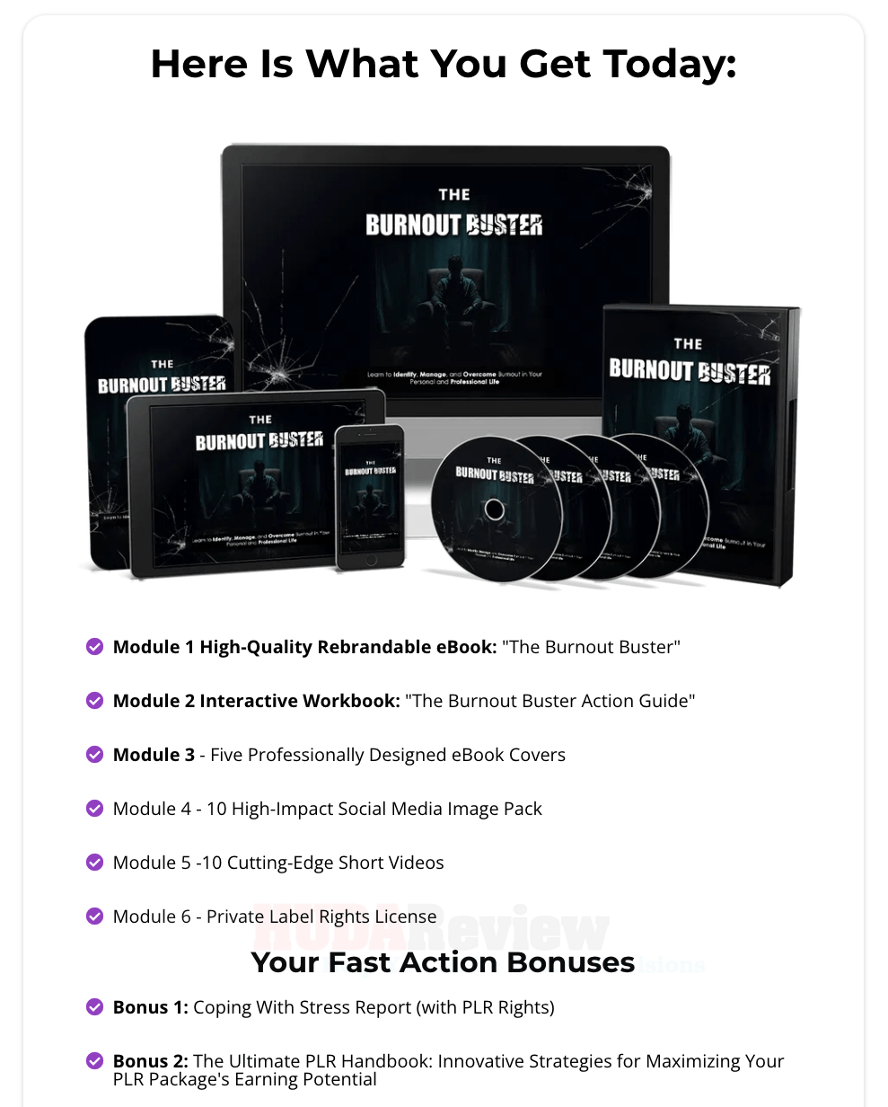 [PLR] The Burnout Buster review: High-quality PLR product!