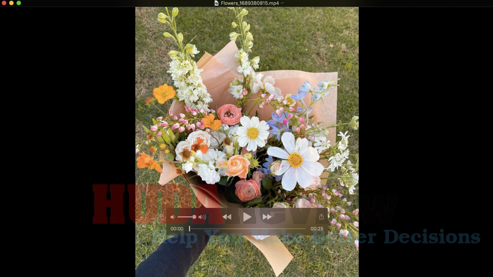 VIDEOZ AI Review: Create content & video in one app, why not?