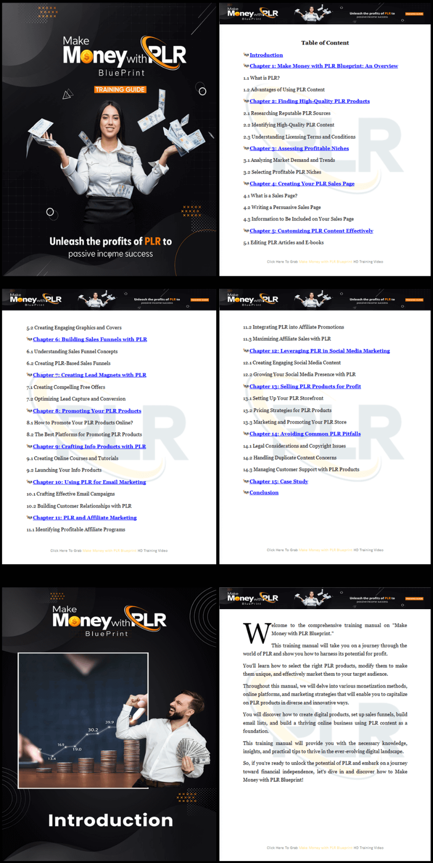 Make Money With PLR Blueprint Review - Elevate Your Earnings
