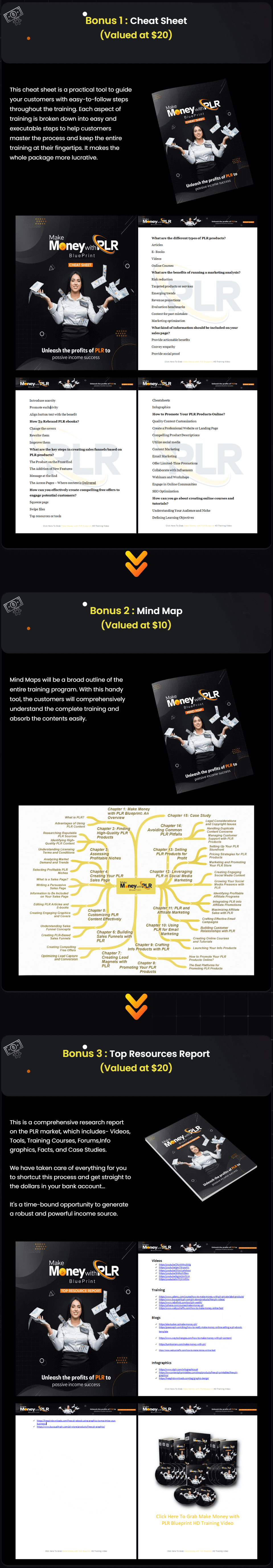 Make Money With PLR Blueprint Review - Elevate Your Earnings