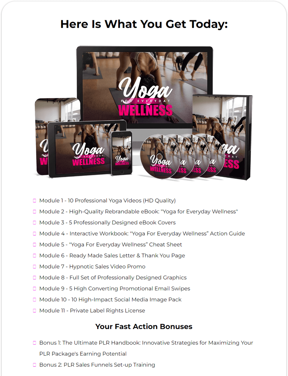 Yoga For Everyday Wellness PLR review: Roadmap to Wellness