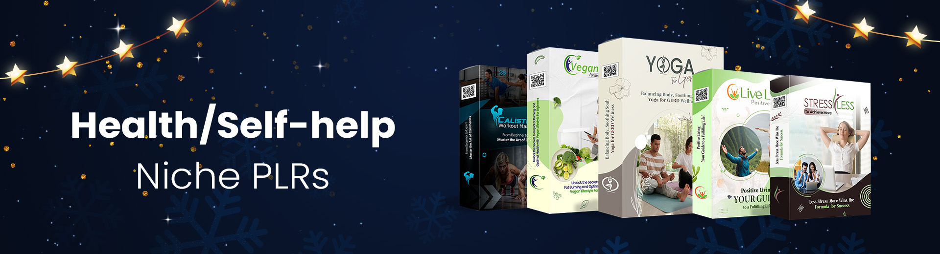 [PLR] Year end PLR Firesale Review with my special bonuses