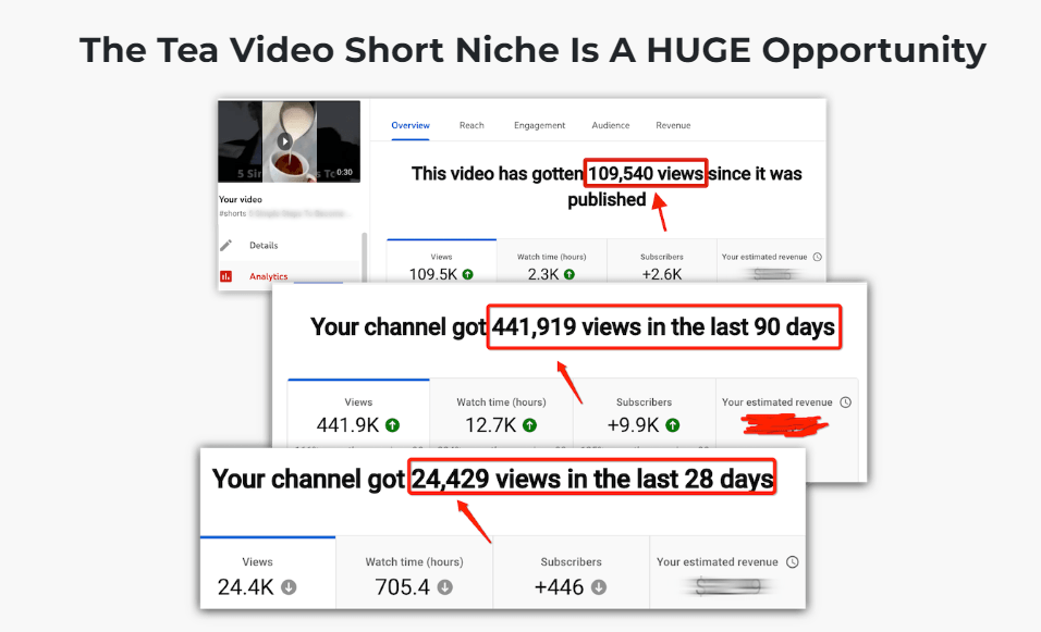 [PLR] 365 Viral Tea Videos Review: Don't miss this pack!