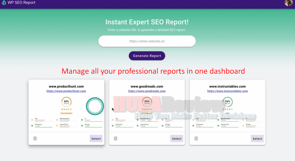 WP SEO Report Review (by Matthew McDonald) with Huge Bonus