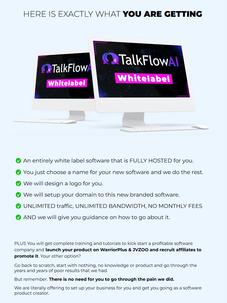 TalkFlow AI Review - The Future of Human-like Conversations